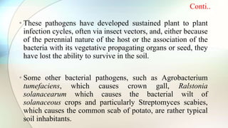 Infection in plant by bacteria | PPTX