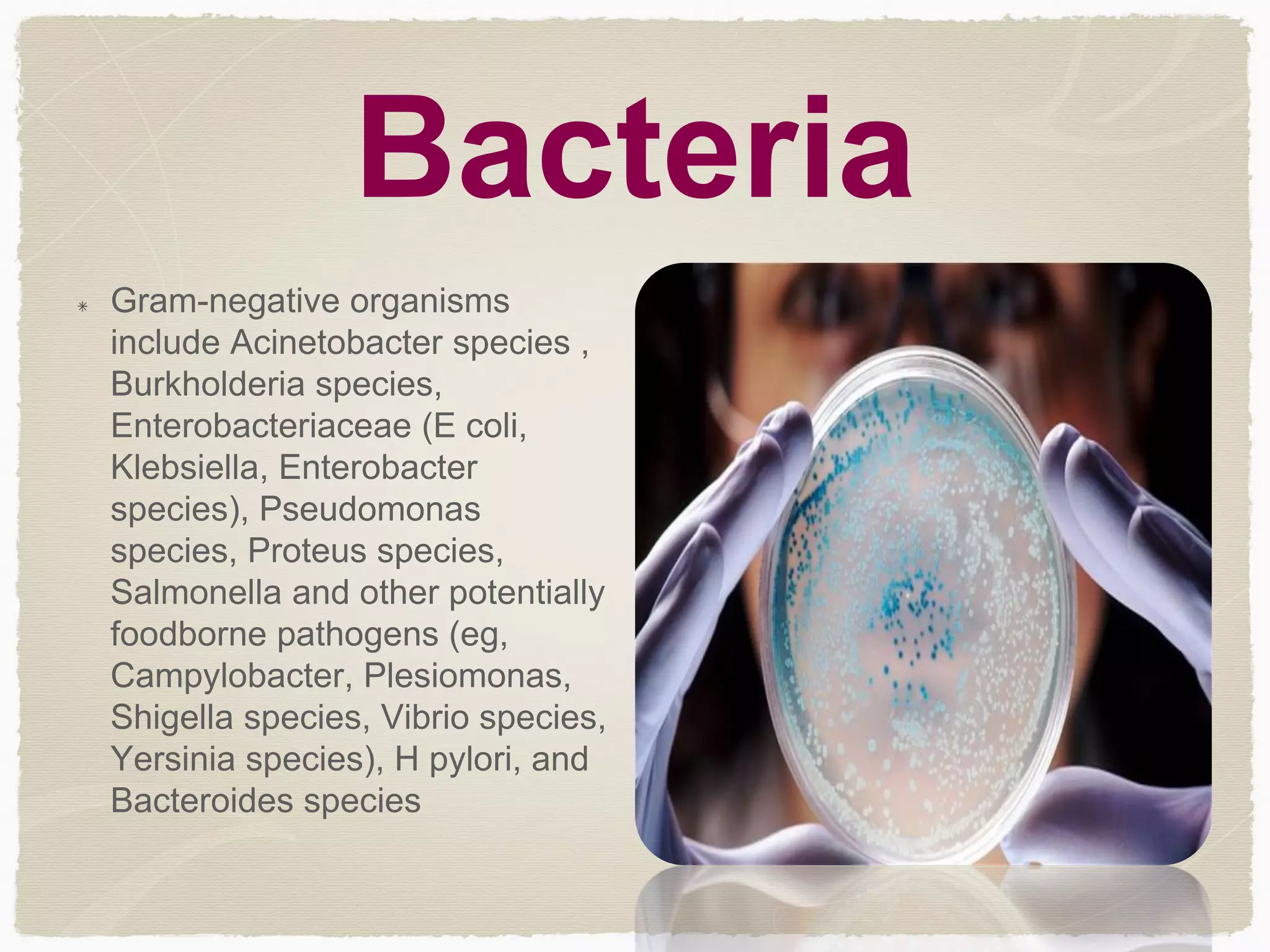 INFECTIONS IN ORGAN TRANSPLANT PATIENTS essential learning | PDF
