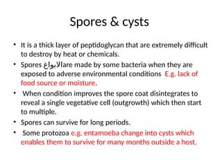 infection lecture INTRODUCTION TO INFECTION CONTROM | PPTX