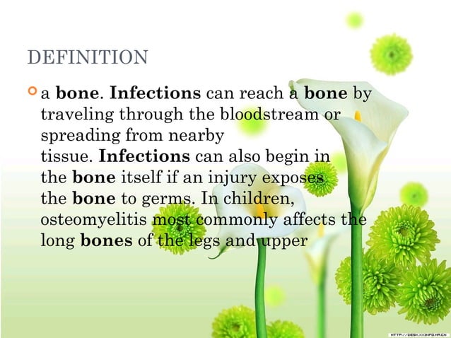 Infection of bone | PPT