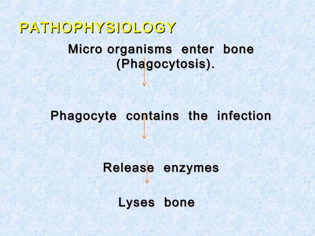 Infection of bone | PPT