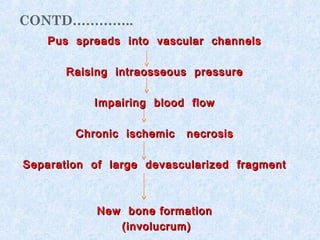 Infection of bone | PPT