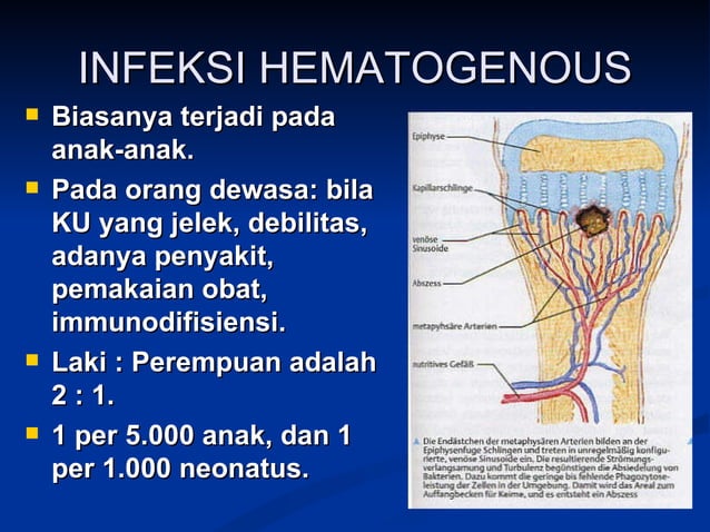 Infection of bone and joint | PPT