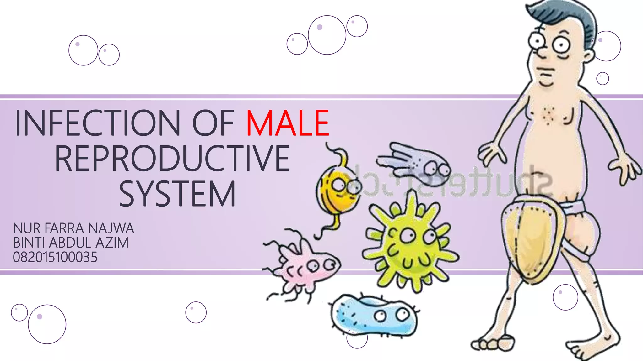 Infection of male reproductive system | PPTX