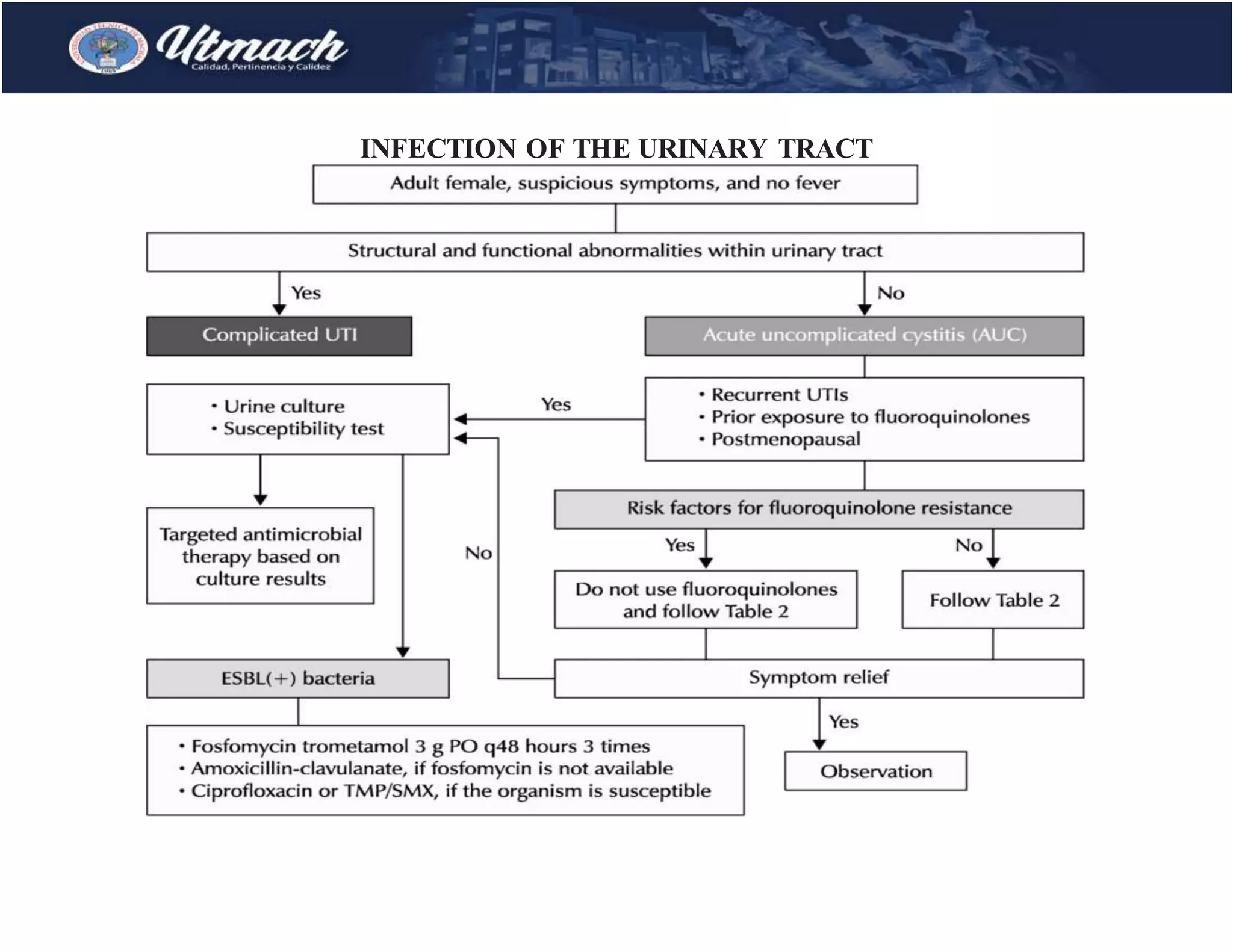 Infection of the urinary tract algorithm | PPT