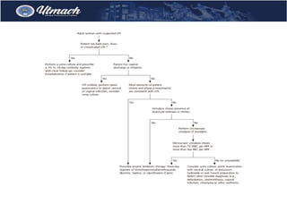 Infection of the urinary tract algorithm | DOCX