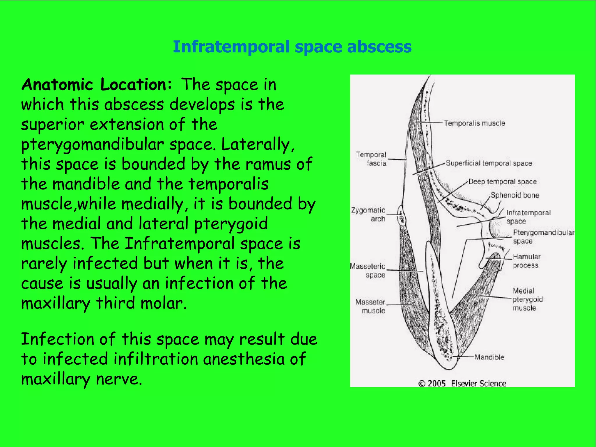 Infection oral paraoral tissues | PDF