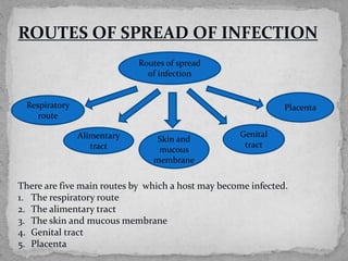 Infection ppt | PPTX
