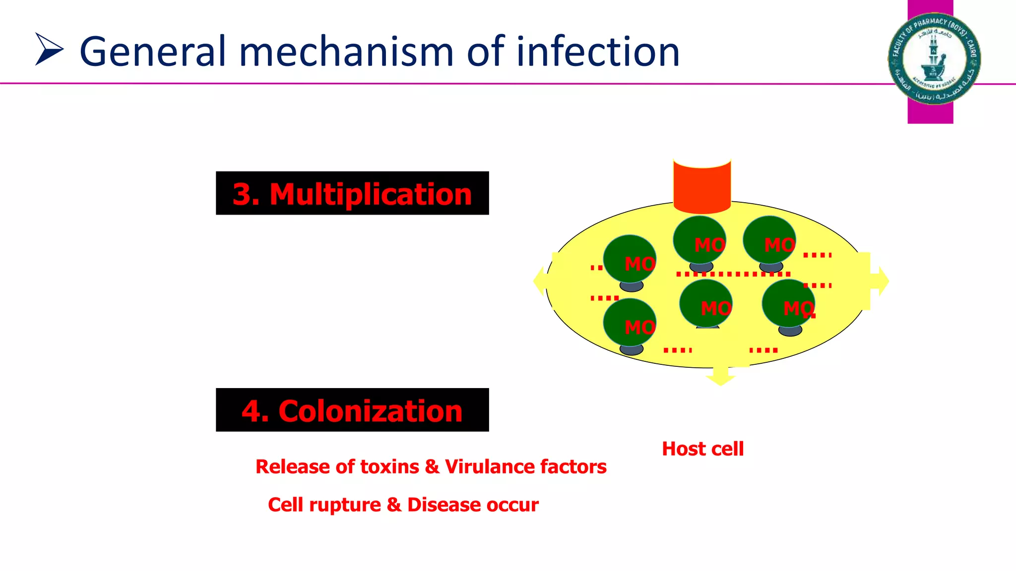 Infection prevention and control Lecture 1.pptx