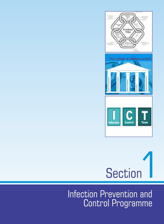 Infection Prevention & Control Guideline - Engligh | PDF | Infectious ...