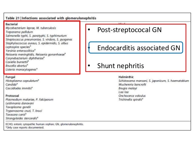 Infection Related Glomerulopathy Introduction Rapid Overview