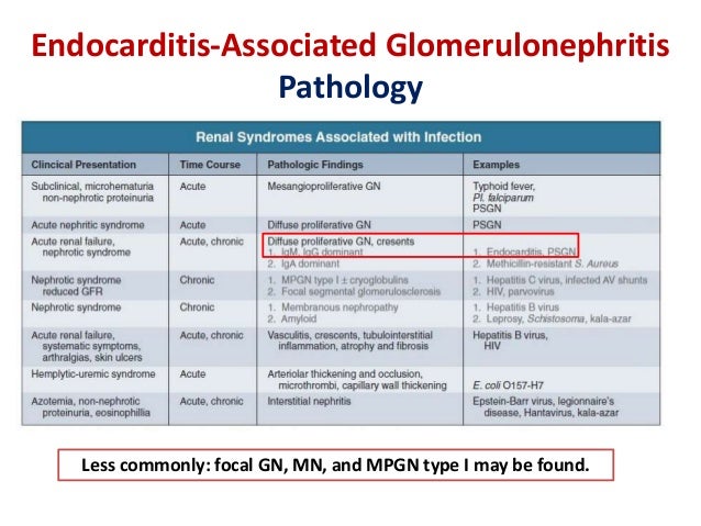 Infection Related Glomerulopathy Introduction Rapid Overview