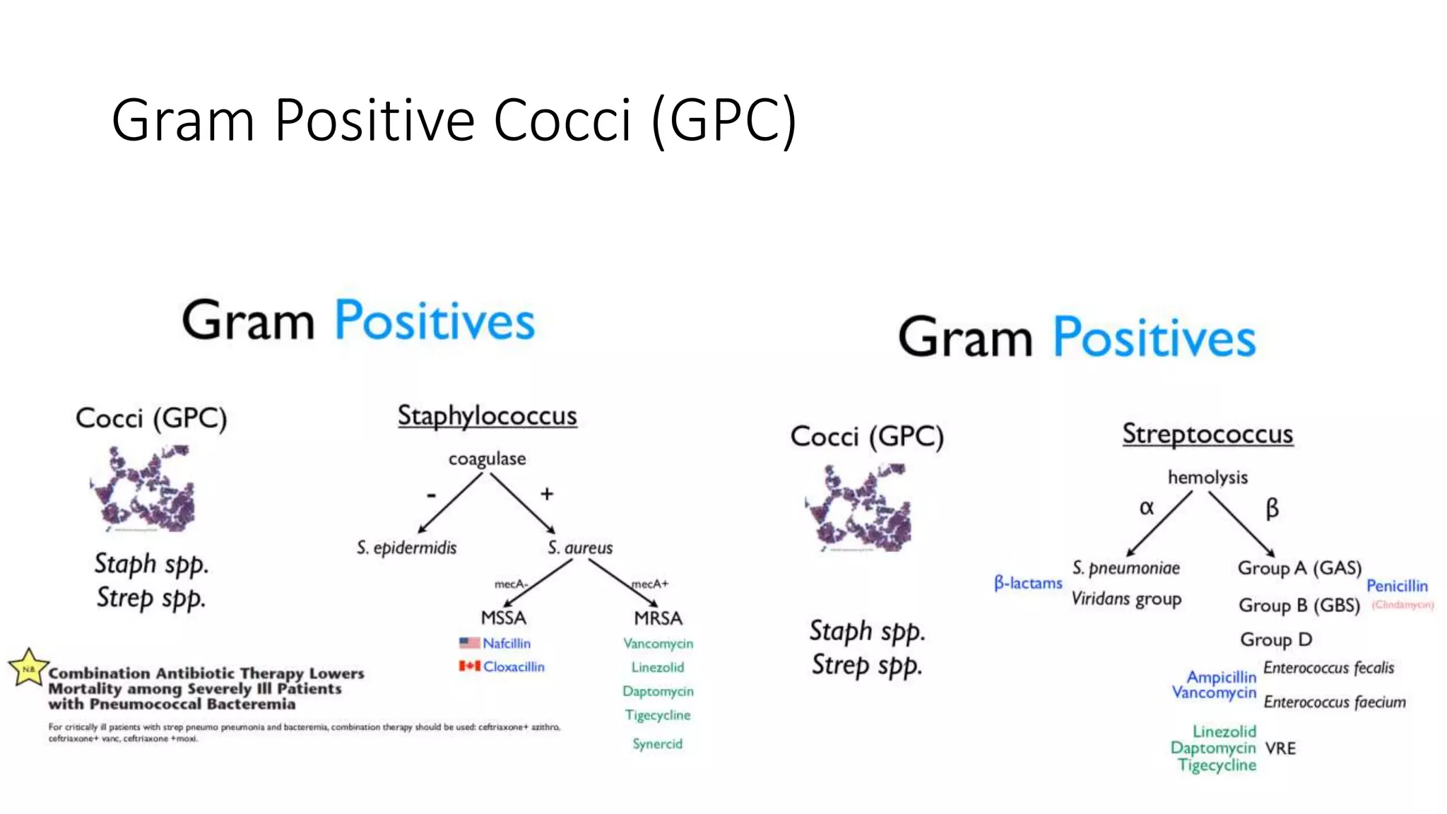 Infection Prevention and Control in the ICU | PPTX