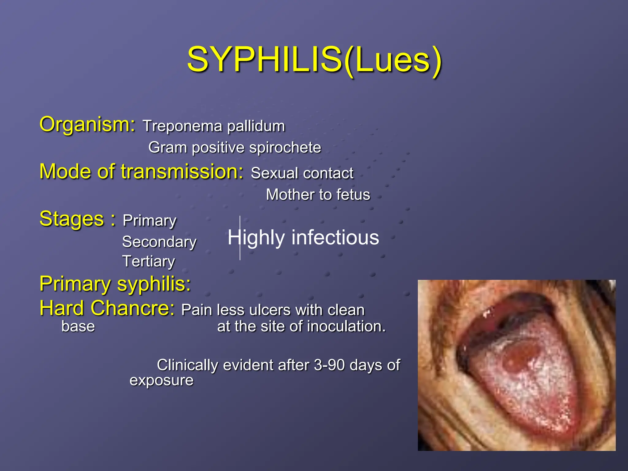 Common Infections Affecting The Human Body | PPT