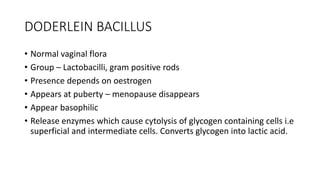 Infections of female genital tract | PPT