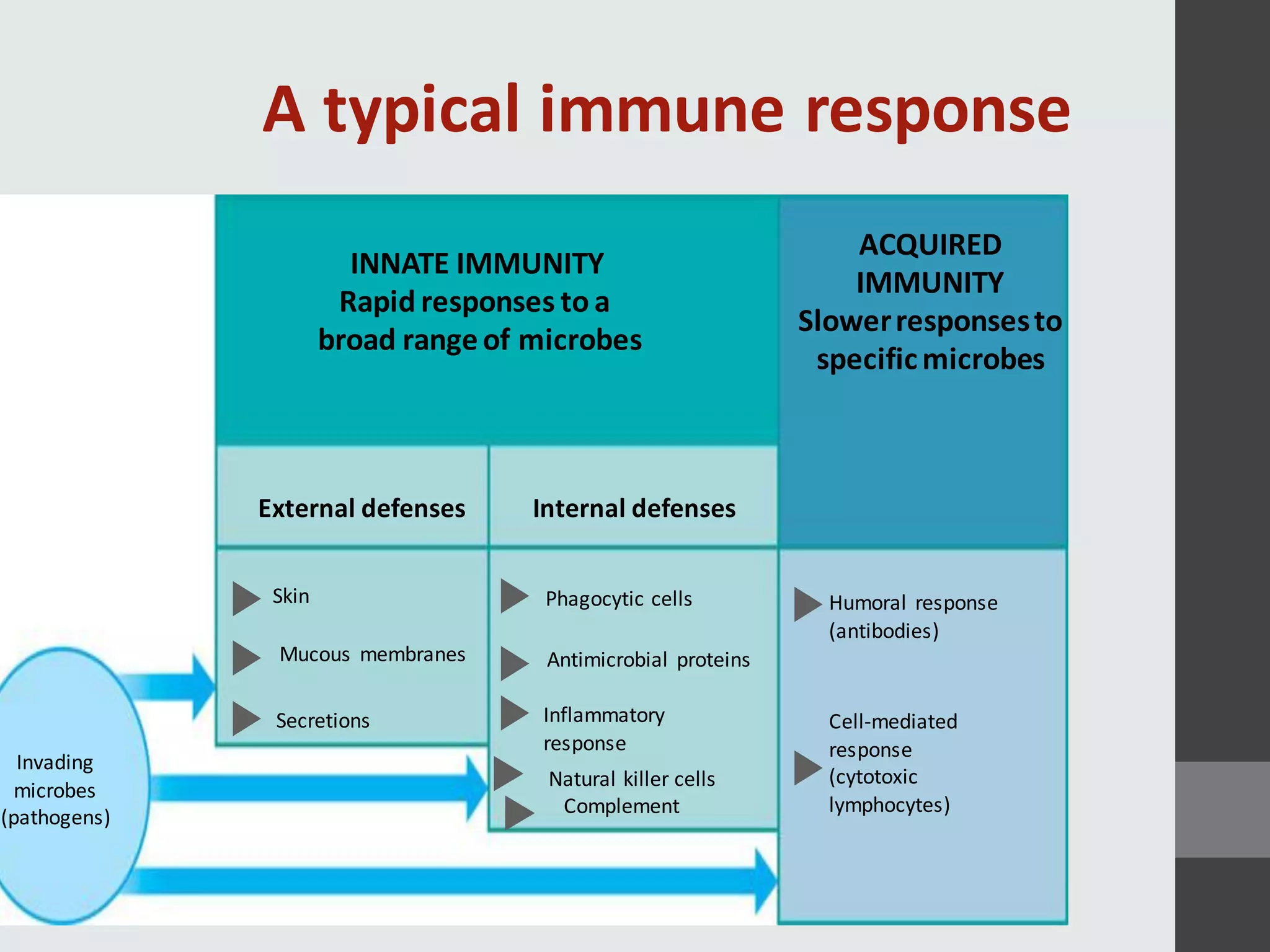 Infections of Gram Negative Bacteria | PDF