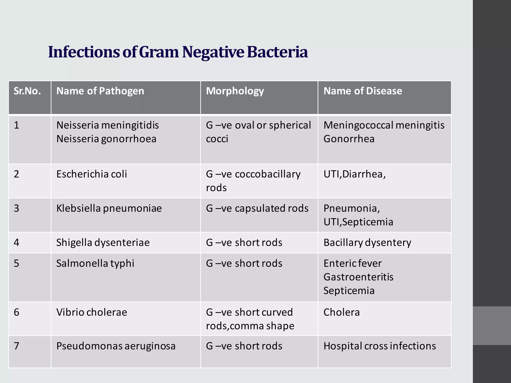 Infections of Gram Negative Bacteria | PDF