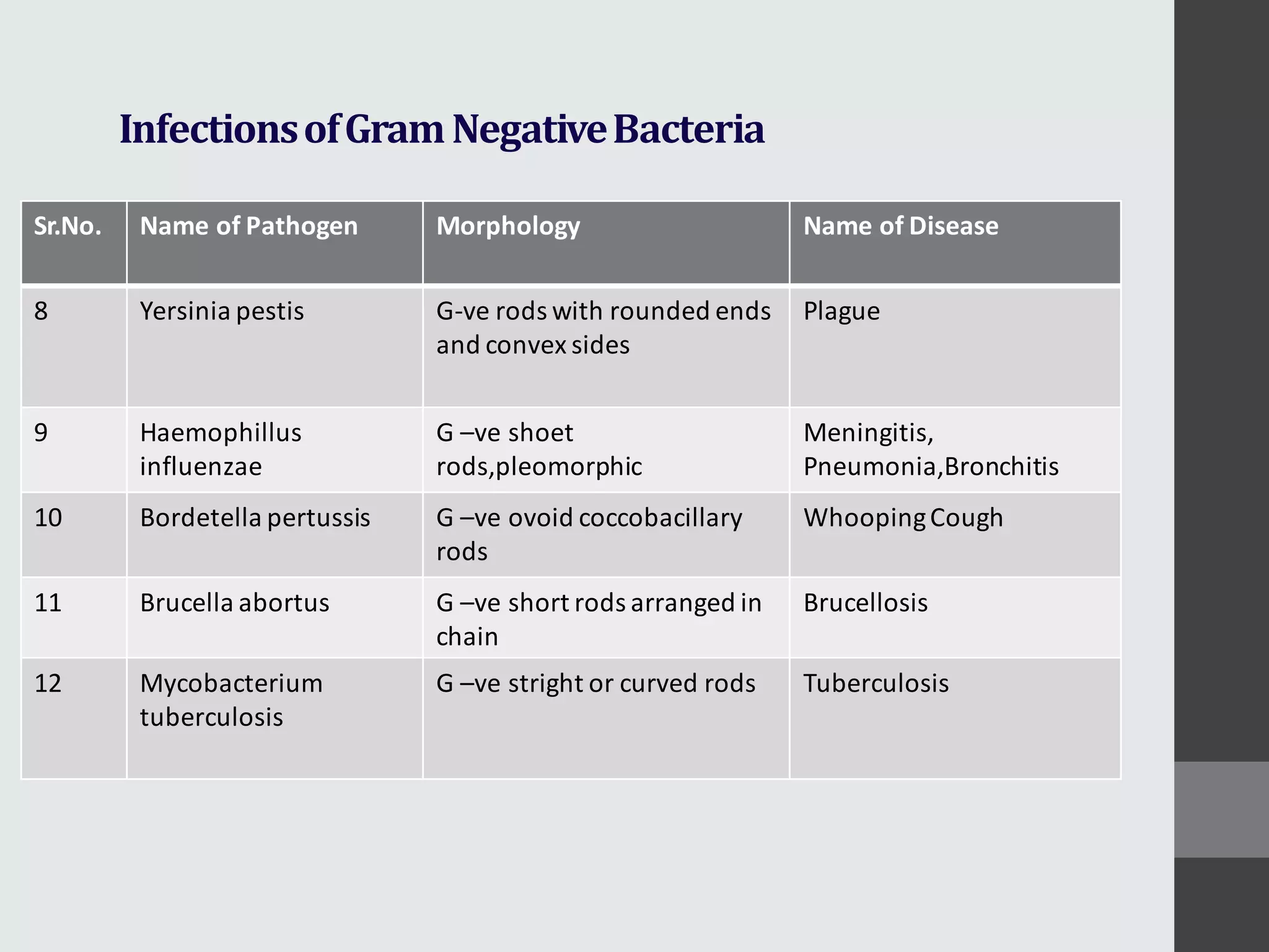 Infections of Gram Negative Bacteria | PDF