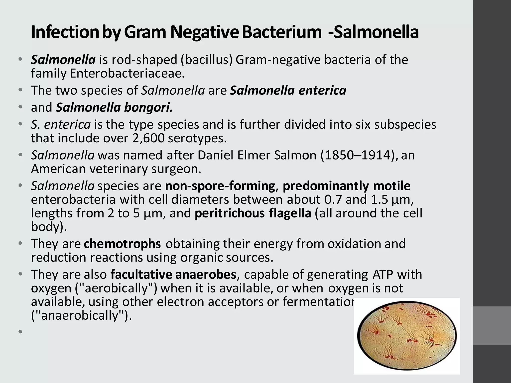 Infections of Gram Negative Bacteria | PDF