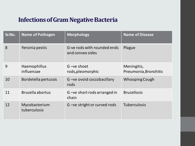 Infections of Gram Negative Bacteria | PDF | Infectious Diseases ...