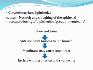 INFECTIONS OF LOWER RESPIRATORY TRACT.pptx