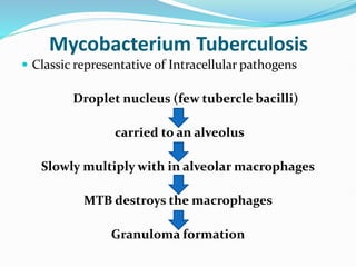 INFECTIONS OF LOWER RESPIRATORY TRACT.pptx