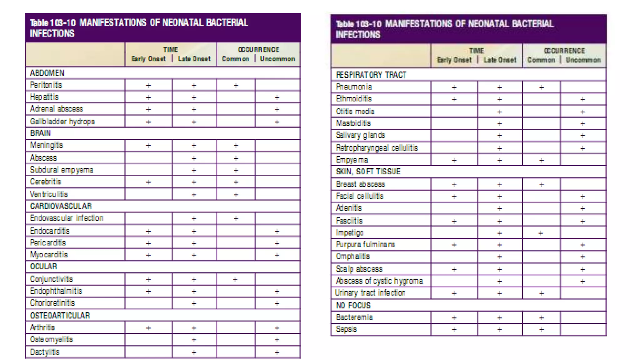 Infections of neonatal infant | PPT