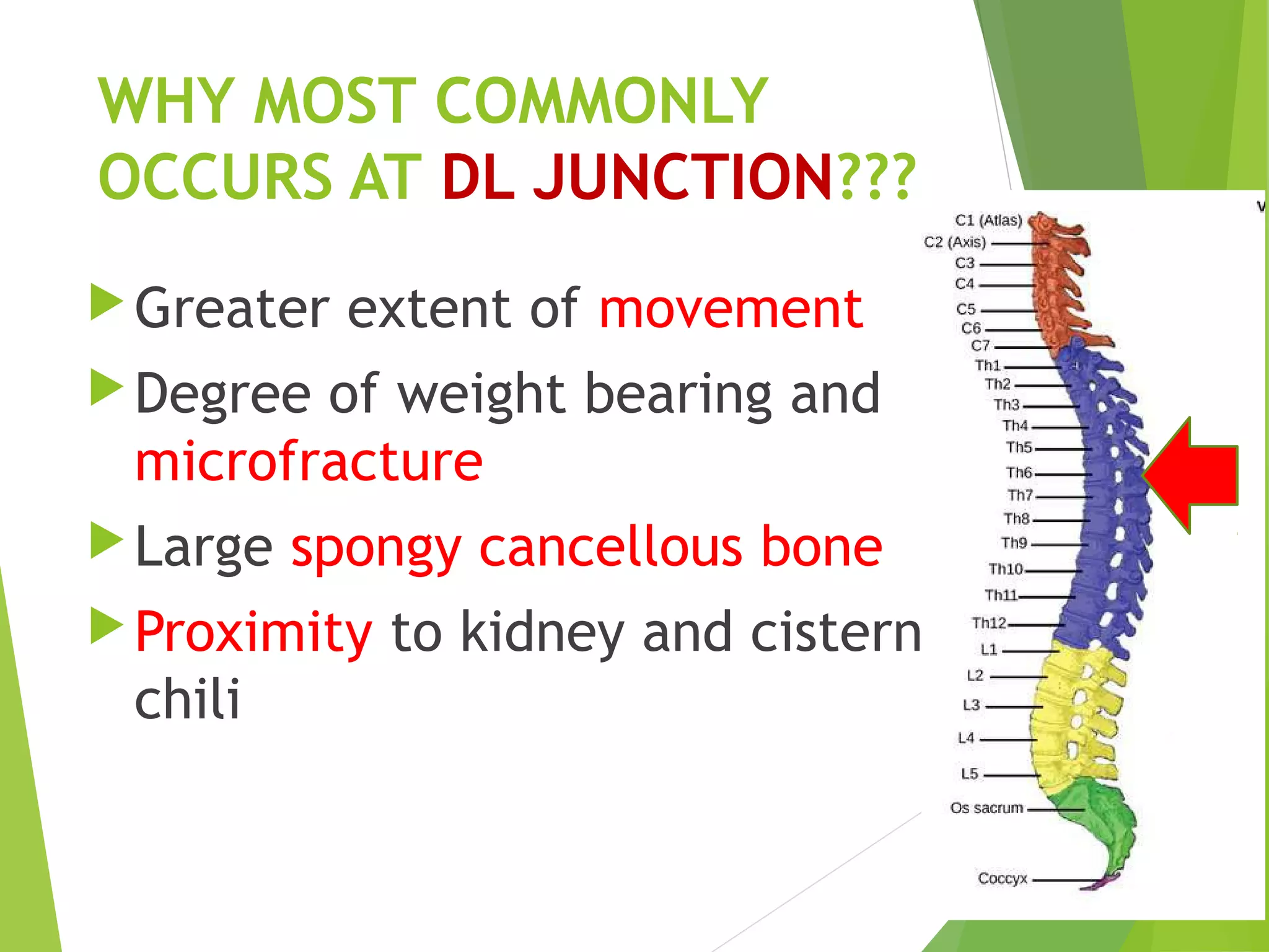 Infections of spine : Pyogenic and tuberculosis | PPT