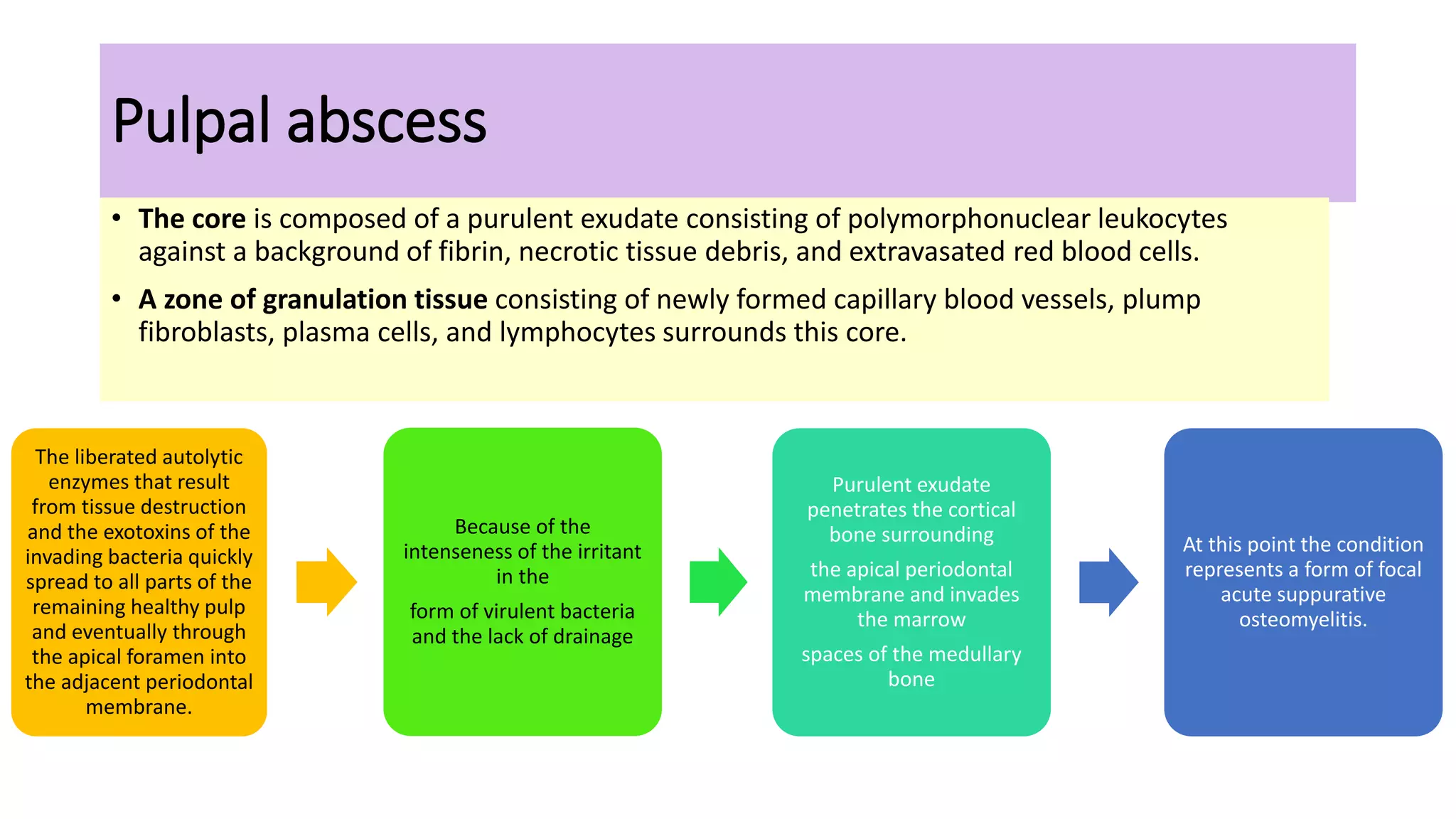 Infections of teeth and bone - Oral Pathology | PPTX