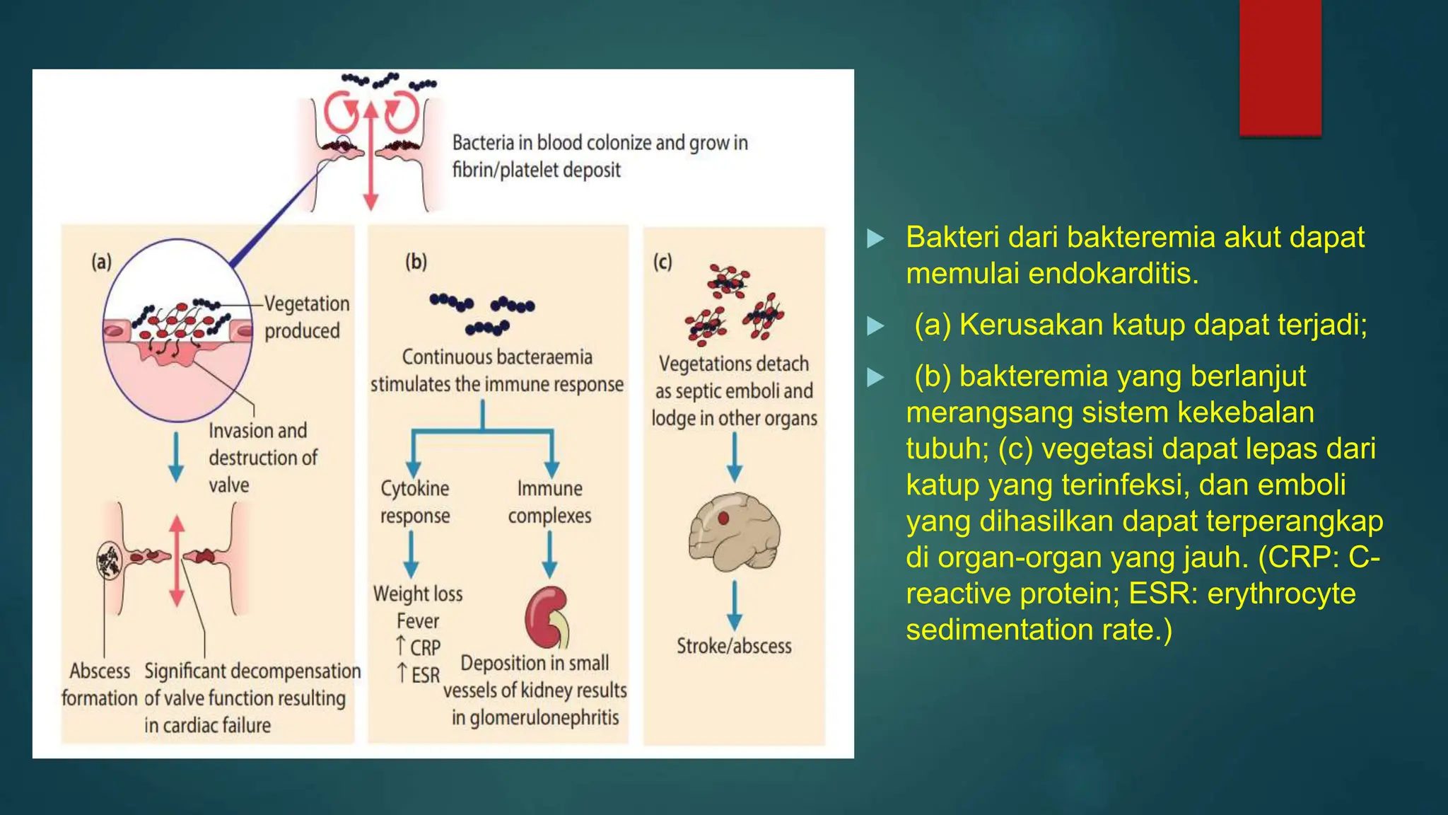 medical mikrobiology Infections of the Blood.pptx