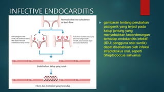 medical mikrobiology Infections of the Blood.pptx