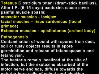Infections of the central nervous and locomotor systems | PPT ...