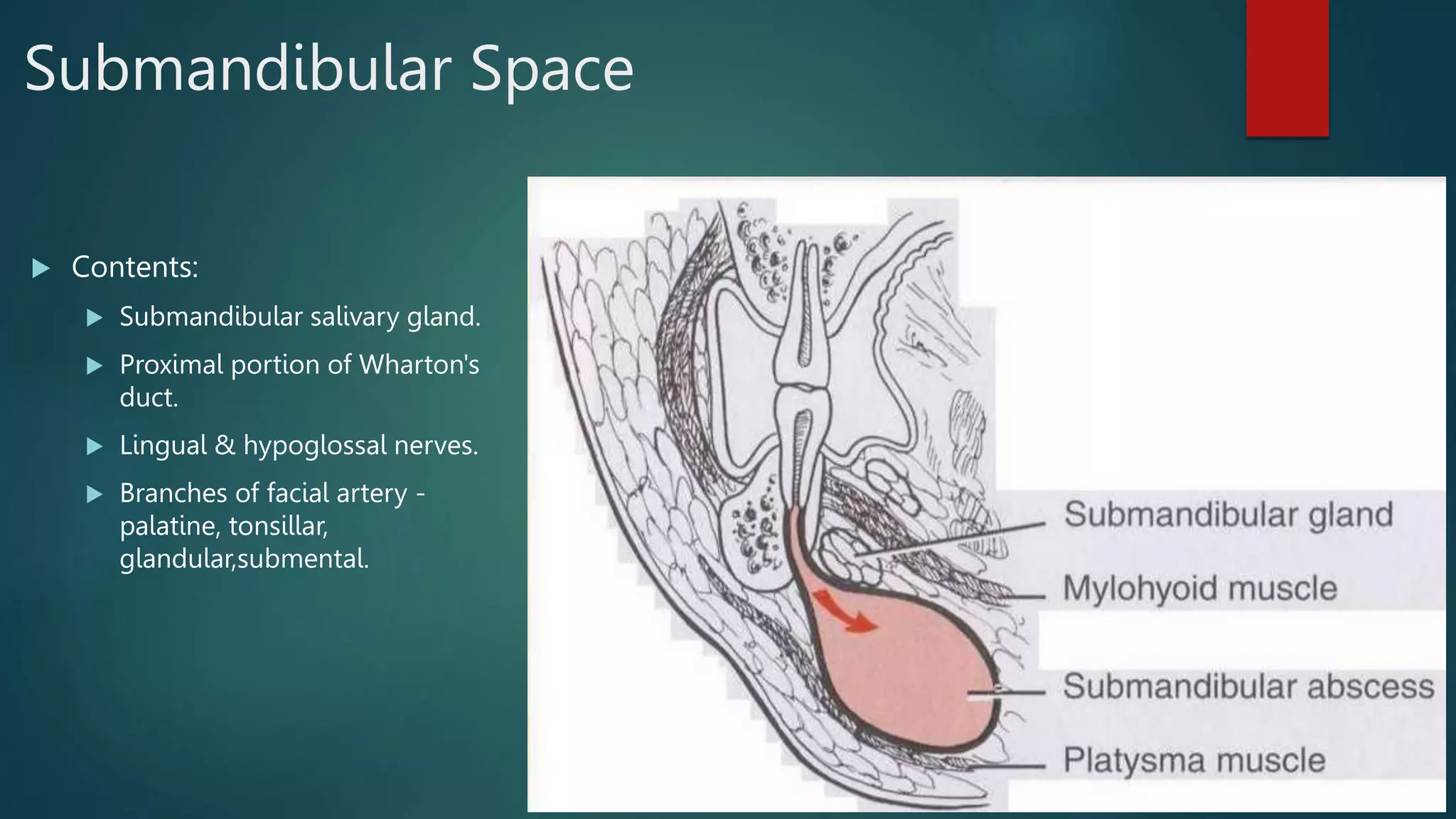 Infections of the facial spaces.pptx
