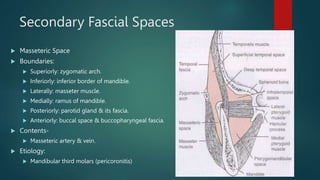 Infections of the facial spaces.pptx
