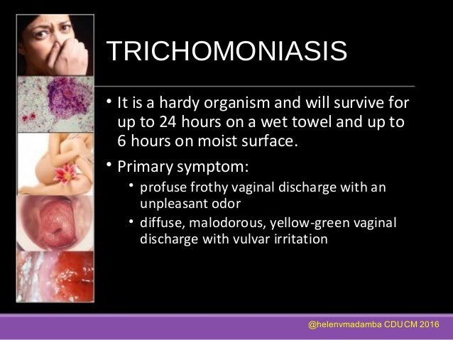 Infections of the Genital Tract - Part II