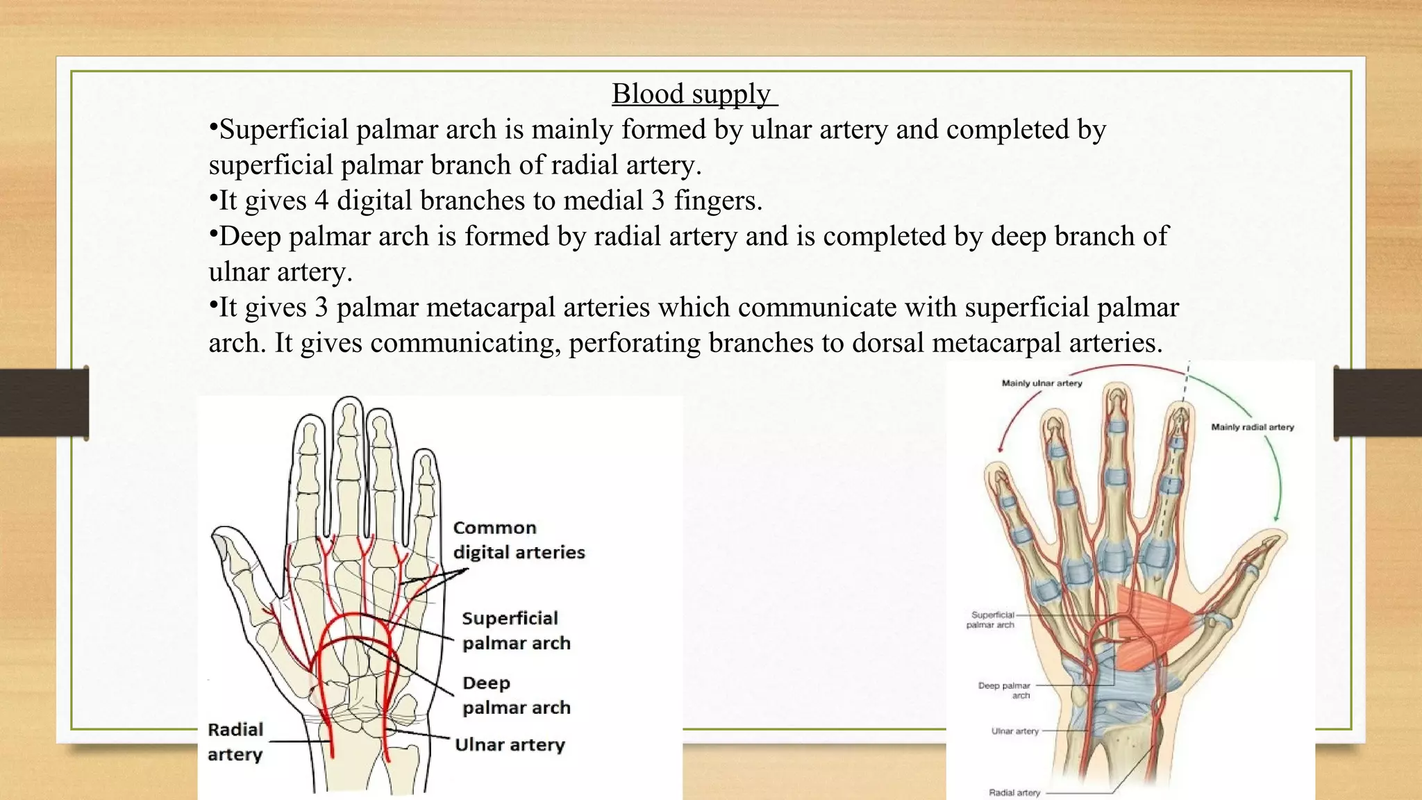 Infections of the hand | PPT