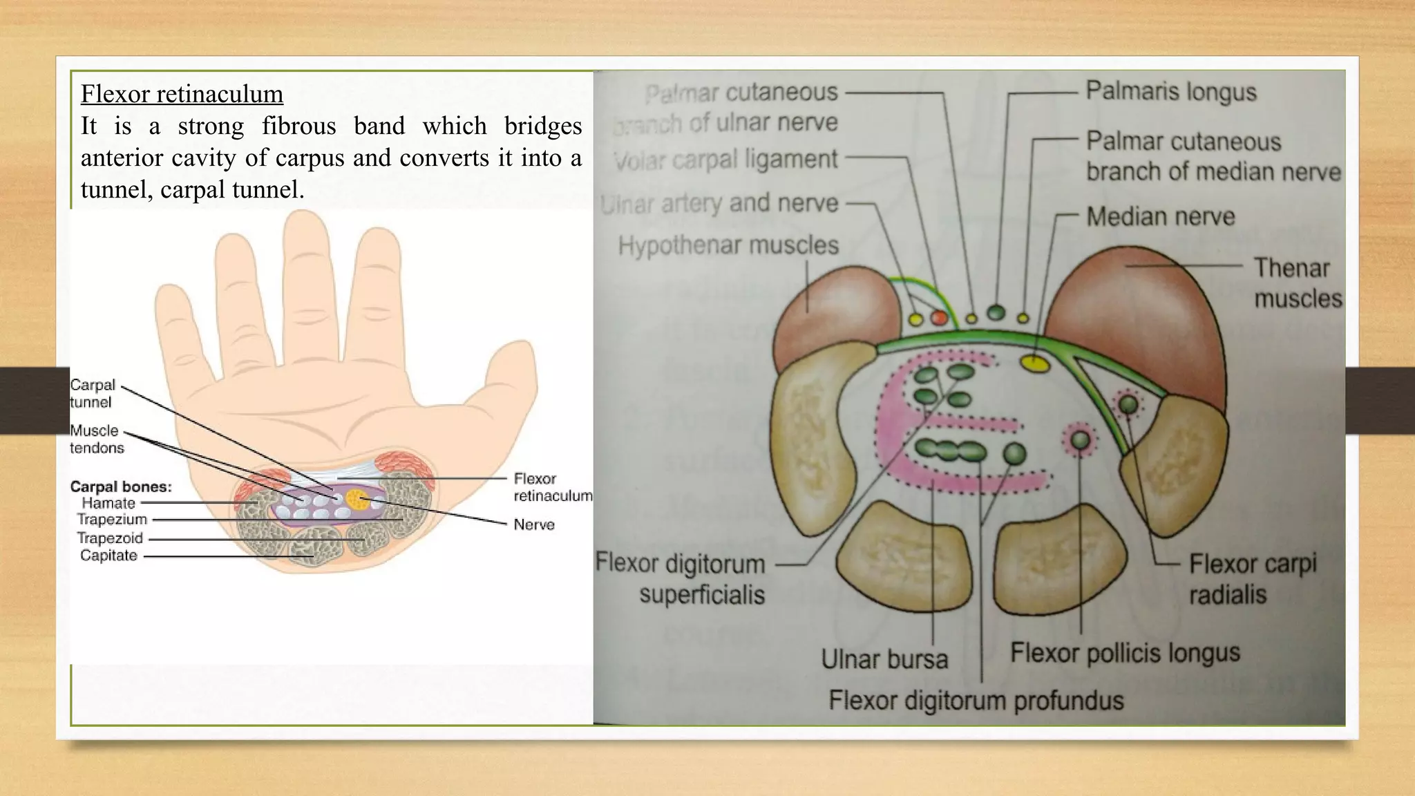 Infections of the hand | PPT