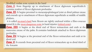 Infections of the hand | PPT
