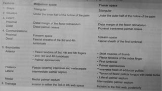 Infections of the hand | PPT