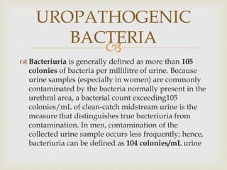 Infections of the urinary tract final | PPTX