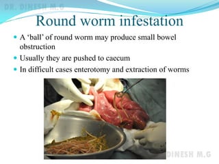 Infections & Tumors of Small Intestine | PDF