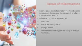 Infections vs inflammation | PPTX