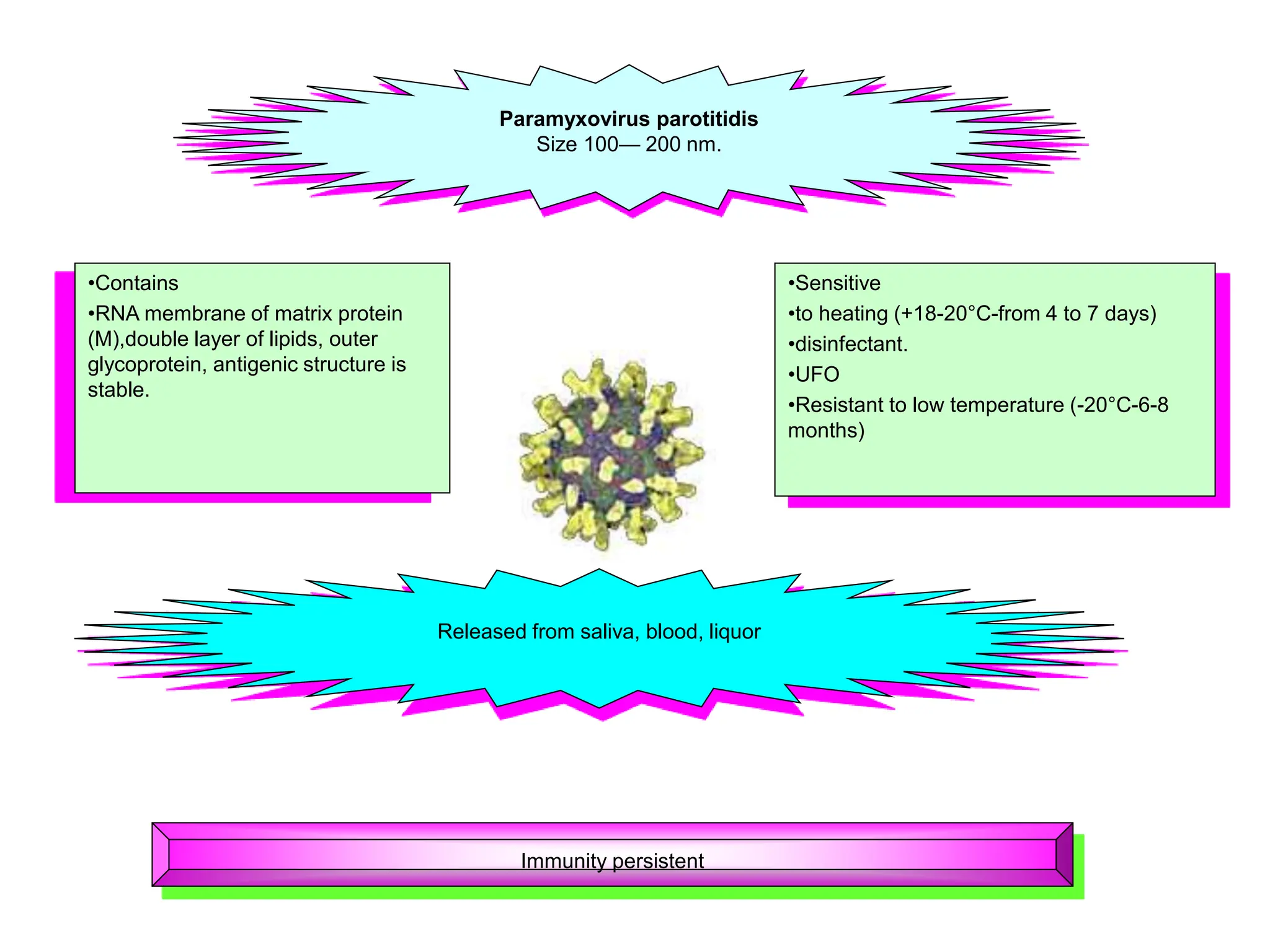 infections with the droplet mechanism of transmission.ppt
