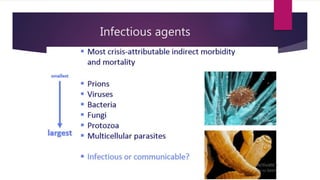 Infectious agents | PPTX | Infectious Diseases | Diseases and Conditions