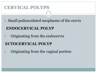 INFECTIOUS AND INFLAMATORY CONDITION OF THE FEMALE REPRODUCTIVE SYSTEM.pptx