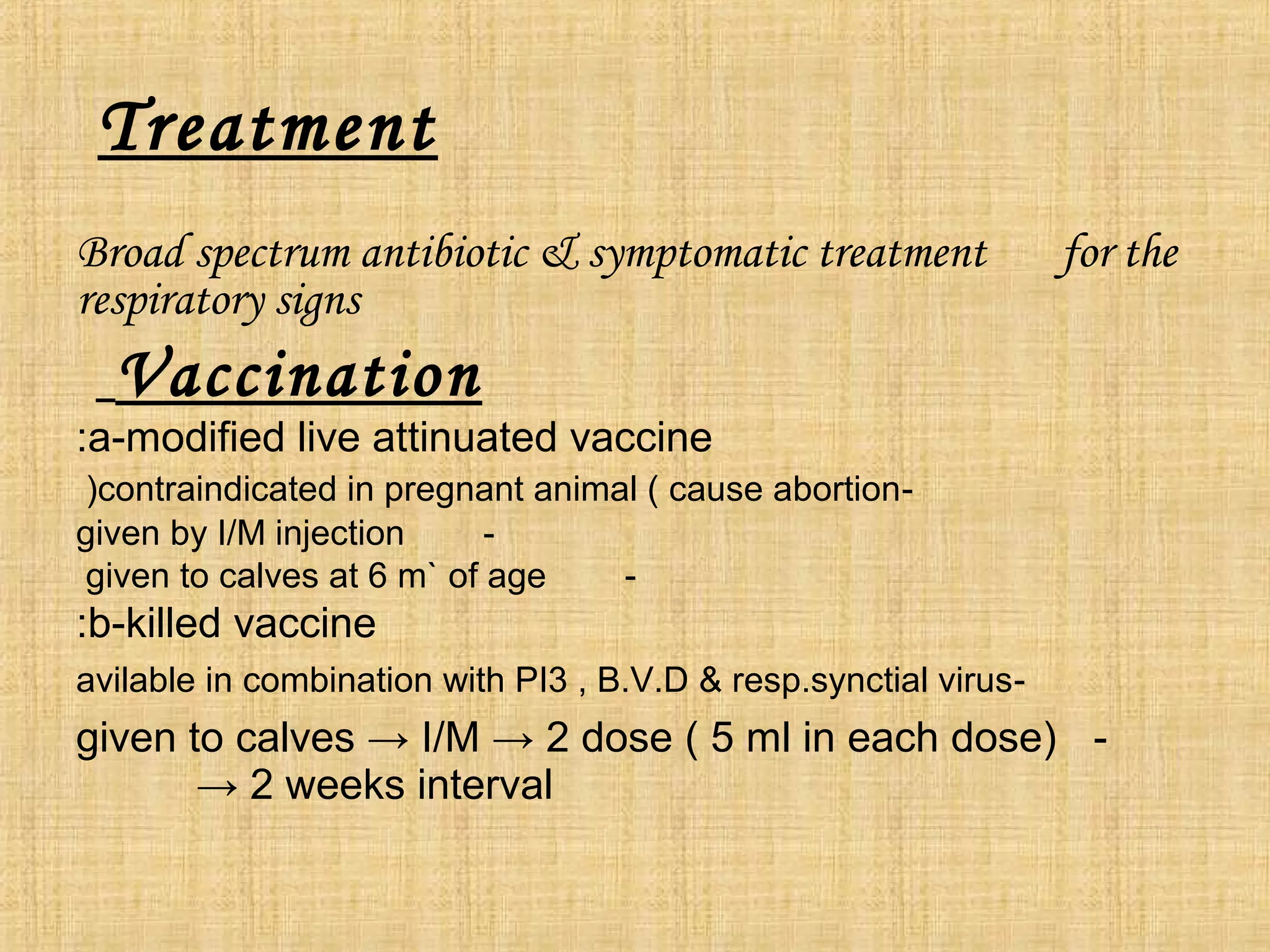 Infectious bovine rhinotracheitis | PPS