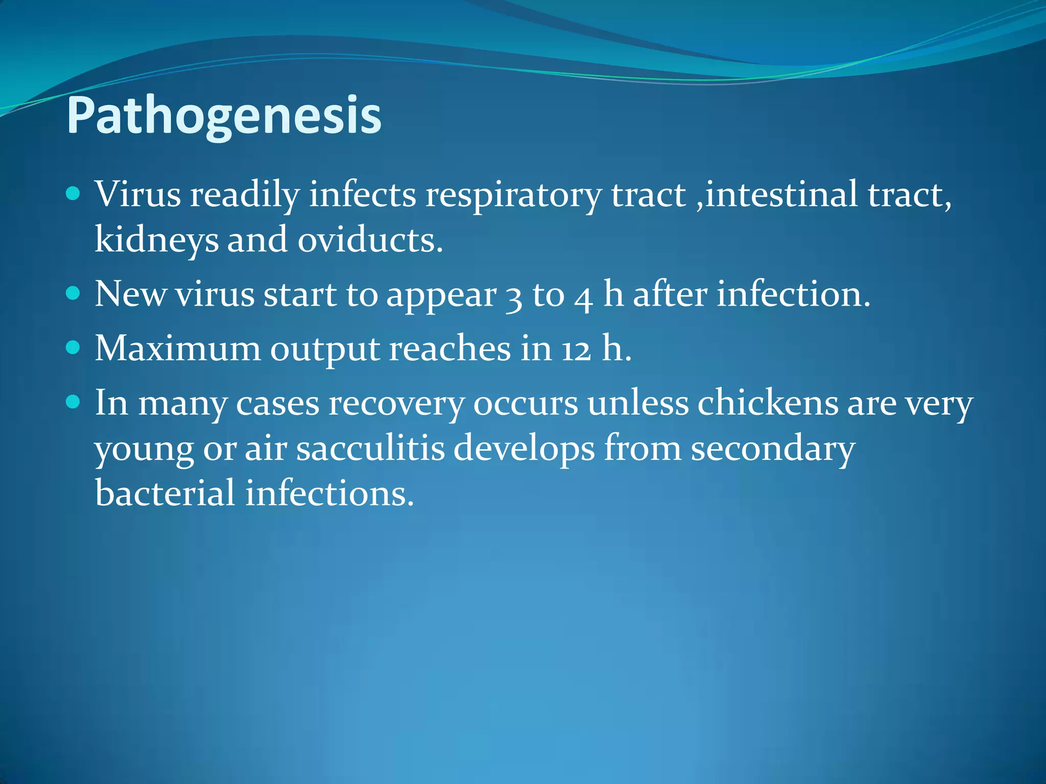 Infectious bronchitis in poultry | PPTX