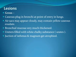 Infectious bronchitis in poultry | PPTX