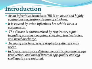 Infectious bronchitis1 | PPTX