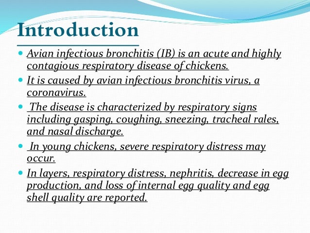 Infectious bronchitis1
